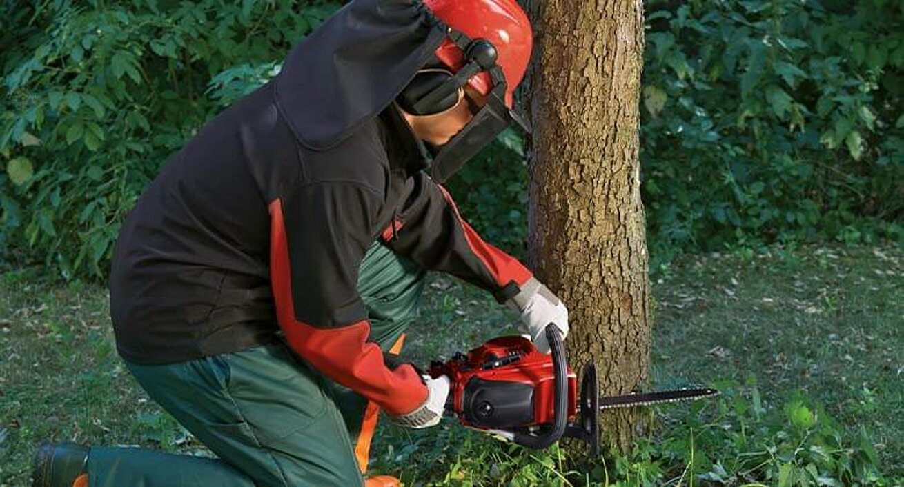 Buy powerful chainsaws from Einhell | Einhell.bg
